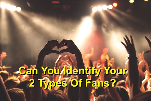 Every Artist Has 2 Types Of Fans - Can You Identify Them? - Music 3.0 ...
